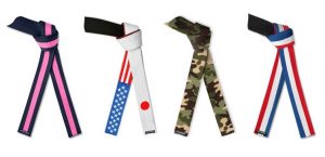 The true meaning of Karate ranks - Colombes Karate Association